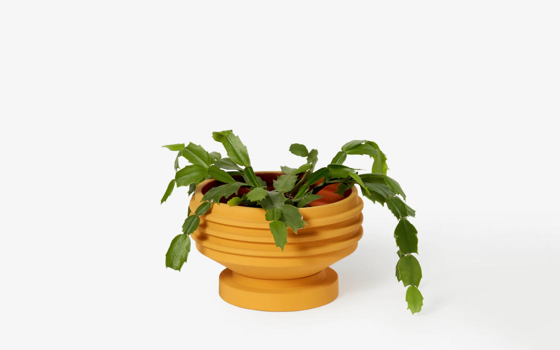 Planters & Plant Pots | SCP