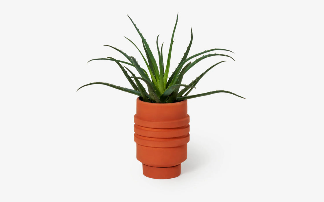 Planters & Plant Pots | SCP