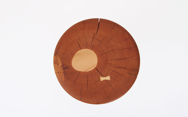 Object 461 by Dan John Anderson | SCP