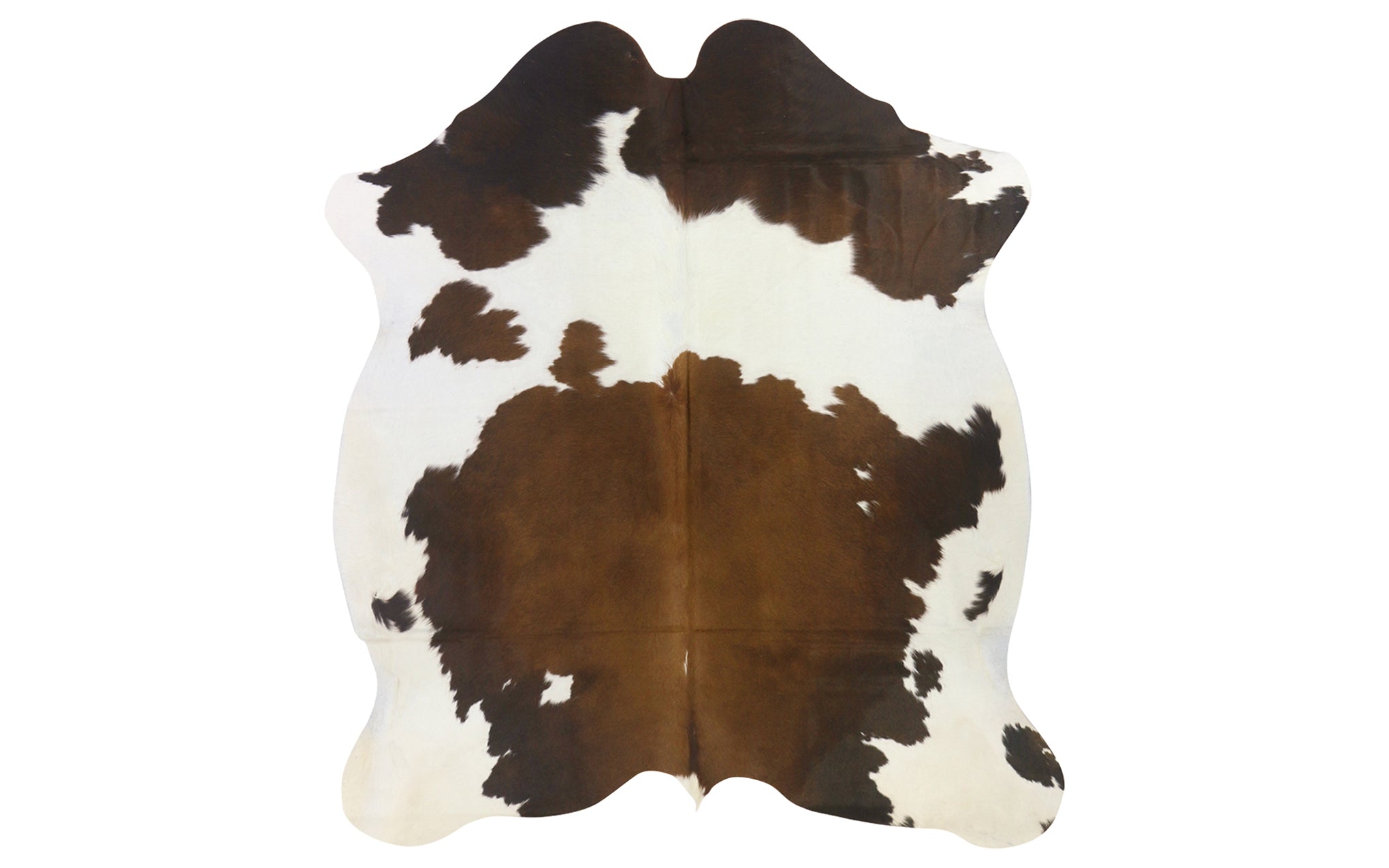 Cowhide No.21477 - brown & white | SCP