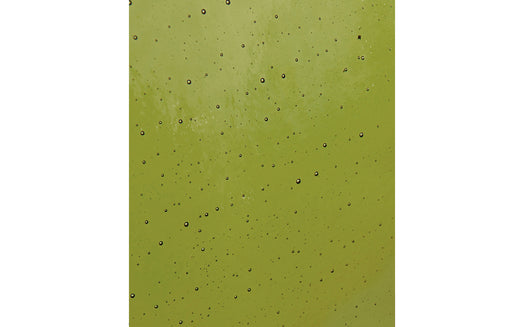 Palm sconce by Blue Green Works | SCP