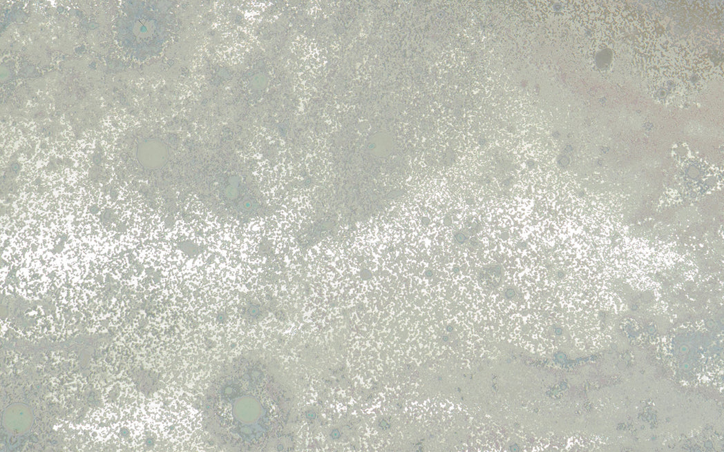 Inverted Spaces Wallpaper by Calico | SCP