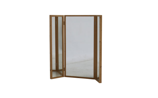 Mirror in Scrapwood | SCP