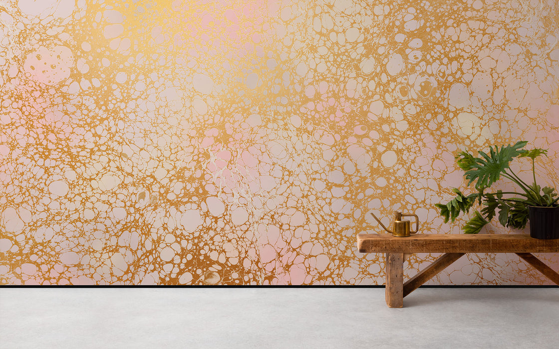 Calico Collection | SCP